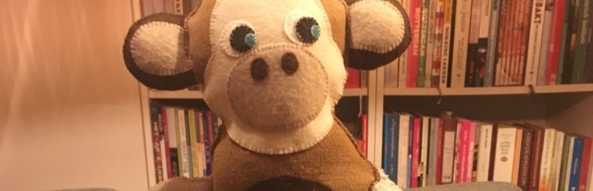 Ontwerp en maak je eigen knuffel 🧸 | Synerkri