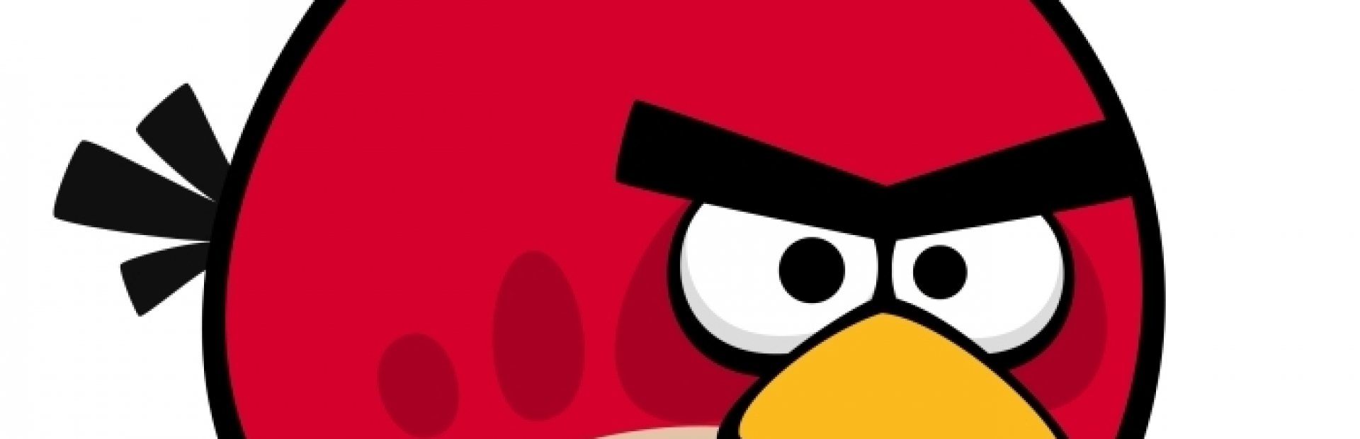 Angry birds 🐦 8-12 jr | Synerkri